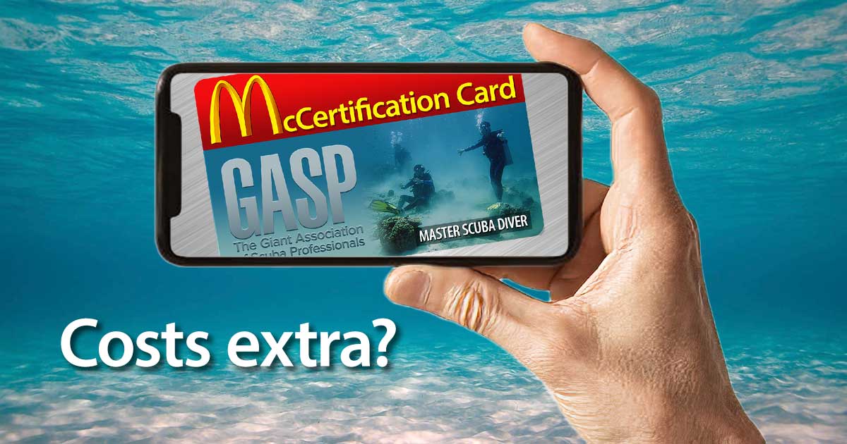 Why pay more? — DIVE BUSINESS | DIVE RETAILING | SALES | DIVE REP